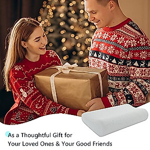 Homemate Neck Pillow Memory Foam Pillows - Ergonomic Pillow for Neck Shoulder Pain Relief Bed Pillow for Sleeping Orthopedic Cervical Pillow Support for Side Back Stomach Sleeper-Queen Size