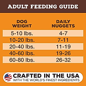 Primal Freeze Dried Nuggets for Dogs Beef, Complete Meal Freeze Dried Dog Food Healthy Grain Free Raw Dog Food, Crafted in The USA (14 oz)