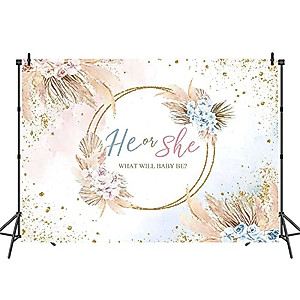 Mocsicka Boho Gender Reveal Backdrop He or She Boho Flowers Baby Shower Background Vinyl Bohemian Pampas Grass Party Cake Table Decorations Photo Booth (7x5ft)