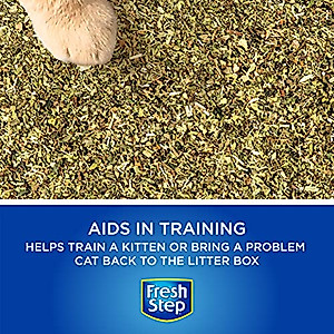 Fresh Step Litter Box Attractant Powder to Aid in Training, 9 Ounces | All Natural Training Aid for Cats and Kittens | Cat Attract Litter Additive for Litter Box, 9 oz - 1 Pack