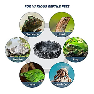 GKPONSX 2 Pack Reptile Food Bowls, Imitating Rock Design Water Dish and Feeder Food Bowls with Tongs Bug Scooper for Leopard Gecko Snake Lizard Turtle Chameleon