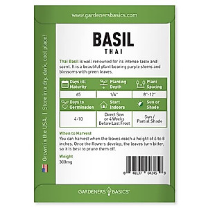 Thai Basil Seeds for Planting Herbs - Heirloom Non-GMO Herb Plant Seeds for Home Herb Garden Indoors, Outdoors, and Hydroponics by Gardeners Basics