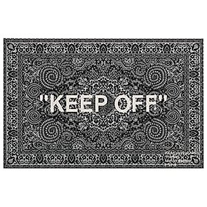 YIKUDU Keep Off Large Rugs Floor Mat Modern Carpet for Home Decoration Area Rug,Cozy Art Decoration Polyester Carpet 36 x 24 inch