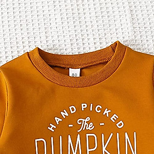 BOEBNOZCV Toddler Boy Girl Halloween Pumpkin Patch Sweatshirt Outfit Long Sleeve Oversized Sweater Shirts Fall Blouse Clothes (Brown Pumpkin Sweatshirt,7-8 Years)