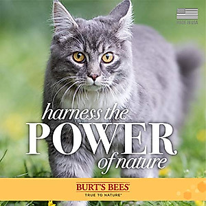 Burt's Bees for Cats Natural Dander Reducing Wipes | Kitten and Cat Wipes for Grooming, 50 Count | Cruelty Free, Sulfate & Paraben Free, pH Balanced for Cats - Made in the USA