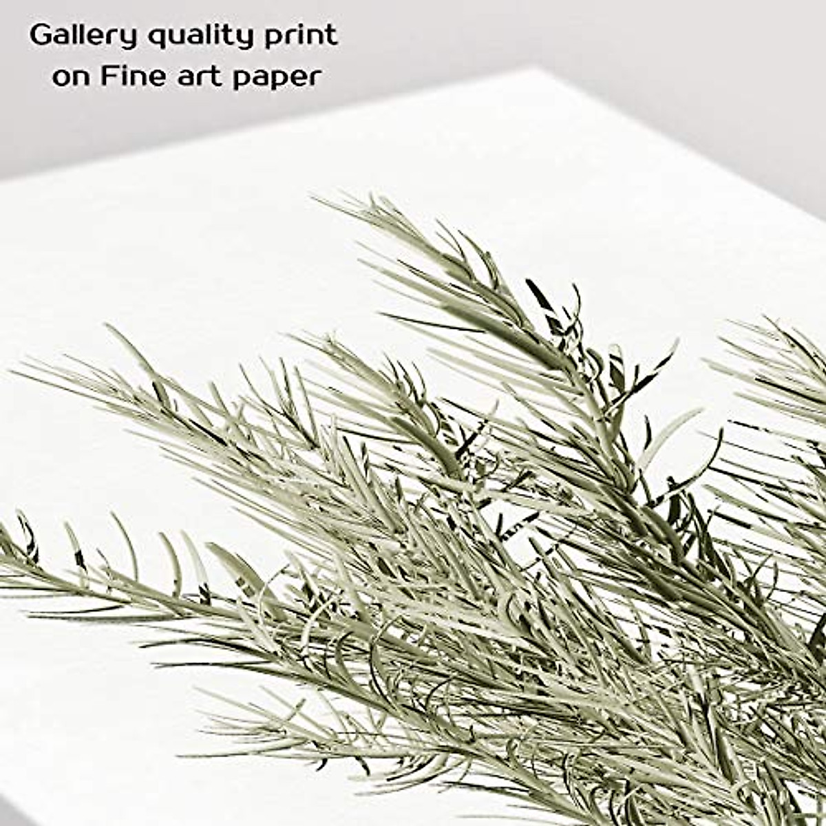 Botanical Plant Wall Art Prints, Cactus Wall Art, Minimalist Wall Art, Boho Wall Decor, Plant Wall Decor, Green Leaves Eucalyptus Pictures Posters, Bathroom Wall Decor, Kitchen Wall Decor (Set of 6, 8X10in, Unframed)