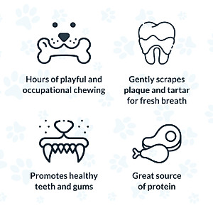 Pawveyor 5" Chicken Wrapped Rawhide Twists - Pack of 45 All-Natural, Rawhide Dog Treats Small Dogs - Great Puppy Treats for Teething Small Dogs - Odor-Free and Long-Lasting, Supports Dental Health