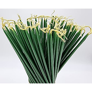 50 Natural Pure Beeswax Taper Candles 11 inch Tall Church Jerusalem Holy Land Decorative Thin Candle Home Decor (Green)