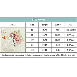 Toddler Baby Girl Tutu Dress Sleeveless Daisy Floral Layered Tulle Dress Kids Princess Birthday Party Beach Dresses (Pink Daisy, 6-12 Months)