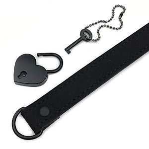 Succuba Padlock Choker Collar Necklace Lolita Collar Cat Kitty Velvet Necklace with Lock and Key For Women and Men (A, 16)