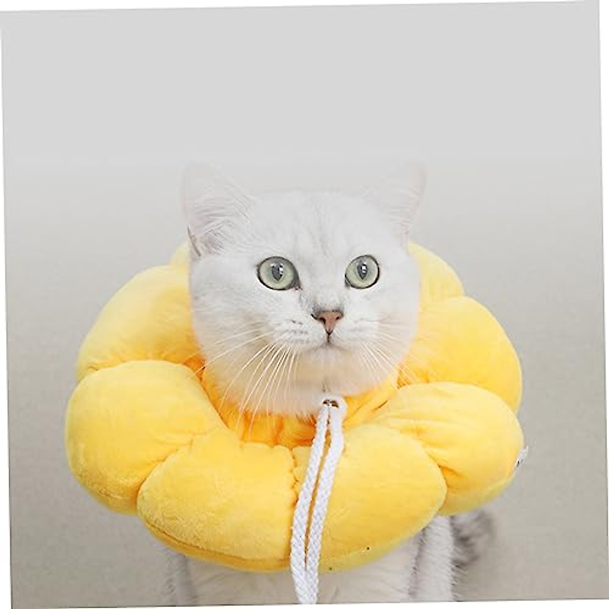 DOITOOL 3pcs Elizabeth Circle Surgery Protective Collar Cat Cone Collar Soft Cat Recovery Neck Cone Puppy Collars for Small Puppies Puppy Cone Puppies Collars Kitten Cat Headgear Pp Cotton