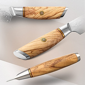 XINZUO Steak Knife Set of 4, Damascus Powder Steel Kitchen Steak Knife Set, Non Serrated Steak Knives, Razor-Sharp Dinner knives with Gift Box, Kitchen Table Knife with Olive Wood Handle-Lan Series