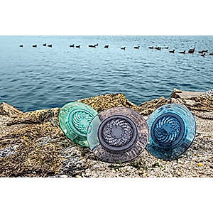 Speakman S-4002 Reaction Single-Function Showerhead for Stylish Bathroom Décor, 2.5 GPM, Clear Smokey Gray