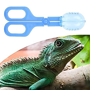 Reptile Feeding Clip, Amphibian Terrarium Feeding Clamp Reptile Terrarium Plastic Tongs Tweezers Feeding Tool for Spider Cricket