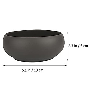 Zerodeko Small Terrarium Purple Sand Succulent Flower Pot Pet Decorations Purple