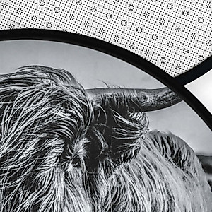 Highland Cattle Cow Area Rug Round 3 ft Washable for Bedroom Living Room Scottish Meadow Animal Circle Rug Mat Non Slip Carpet Decor Floor Mat for Bathroom Kitchen Dorm