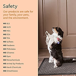 Puracy Natural Platinum Pet Stain and Odor Remover - Plant-Powered Professional Pet Urine Odor Eliminator with Natural Enzymes - Safe and Effective Carpet Pet Stain Remover and Cleaner, 739ml, 25oz