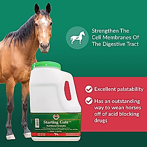 SBS Equine Starting Gate Granules for Horses | Horse calming Supplement that prevents & reverses gastric equine Ulcers | 1.1 Gallon | 3 Week Supply
