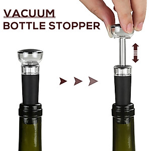 FAVIA Instant Wine Pourer Aerator with 2 Spouts Premium Pouring Wine Stopper Simple Operation and Elegant Appearance Ideal Christmas Gifts for Wine Lovers