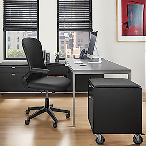 Devoko Office Desk Chair Ergonomic Mesh Chair Lumbar Support with Flip Up Arms and Adjustable Height (Black)