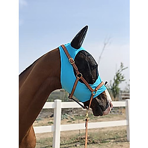 TGW RIDING Horse Fly Mask Super Comfort Horse Fly Mask Elasticity Fly Mask with Ears We Only Make Products That Horses Like (Pacific Blue, L)