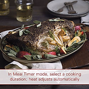 Wolf Gourmet Programmable 6-in-1 Multi Cooker with Temperature Probe, 7 qrt, Slow Cook, Rice, Sauté, Sear, Sous Vide, Stainless Steel, Red Knob (WGSC100S)