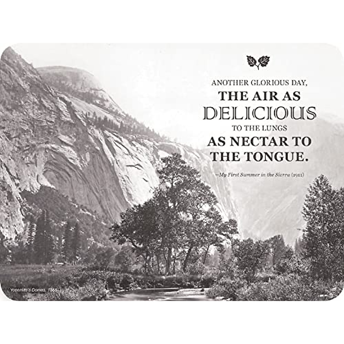 The John Muir Signature Notebook: An Inspiring Notebook for Curious Minds (6) (The Signature Notebook Series)