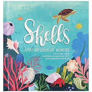 Shells: A Pop-Up Book of Wonder (4 Seasons of Pop-Up)
