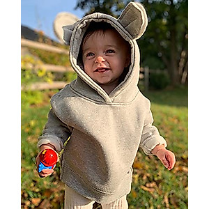QLIPIN Unisex Baby Sweatshirt Hooded Sweatshirt Long Sleeve Sweat Top Grey