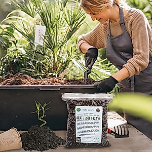 Bamboo Bonsai Plant Potting Soil Mix Peat Moss & Perlite (½ Gallon / 2 quarts). Repot Ficus, Lucky Bamboo Soil