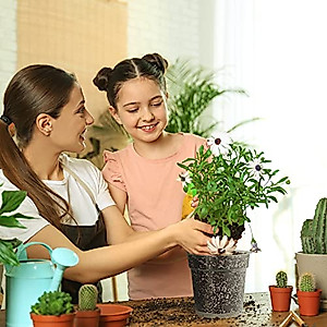 durony 12 Pack 4.5 Inches Clear Orchid Pots with Holes Flower Plant Pot Durable Plastic Planter with 12 Pieces Plant Labels Great Drainage for Seedlings Planting