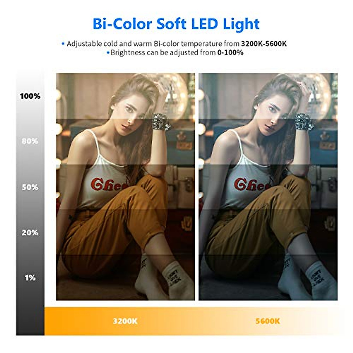 Neewer 13" Led Video Light Panel Lighting Kit, 2-Pack Dimmable Bi-Color Soft Lights with Light Stand, Built-in 8000mAh Battery, 3200K~5600K CRI 95+ 2400Lux for Game/Live Stream/YouTube/Photography