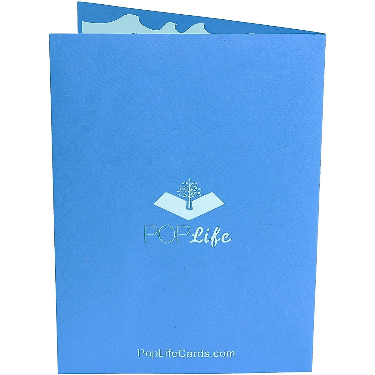PopLife Humpback Whale Parent and Child 3D Pop Up Card - Mother's Day Gift, Whale Lover's Birthday, Graduation - for Mom, for Daughter, for Son, for Parent, for Dad