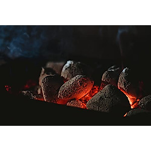 Jealous Devil Max XL All Natural Hardwood Charcoal Pillow Briquets, 20lb Box