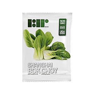 1000 Bok Choy Seeds - Shanghai Green Stem - Heirloom Non-GMO Vegetable Seeds for Planting - AKA Pak Choi, Pok Choi, Chinese Cabbage