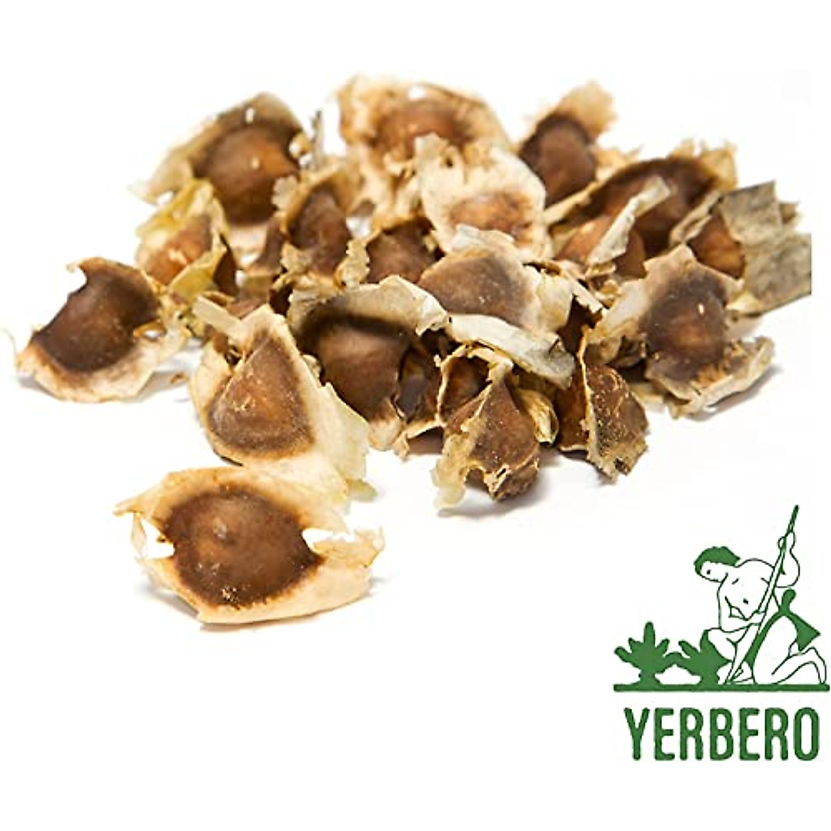 Yerbero - 100% All Natural Moringa Oleifera Seeds 600 Count (6oz) | (Drumstick Tree) | Semillas De Moringa Comestibles