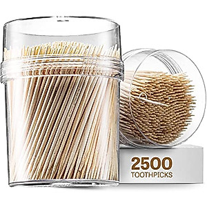 2500 Count Wooden Toothpicks + Reusable Holder Container | Sturdy Smooth Finish Bamboo Tooth Picks | Cocktail Picks | Toothpicks For Appetizers | Toothpicks Wood