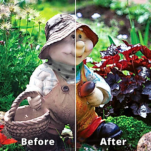 Rejuvenate Outdoor Color Restorer Instantly Restores Faded Sun-Damaged and Oxidized Possessions and Protects from Future Wear 16oz (16oz x 2 Pack)