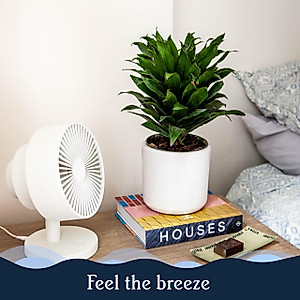 Windmill NEW to Amazon Smart Air Circulator and Fan with Remote and Wi-Fi/App - 18 dB Whisper-Quiet plus Tri-Layer Airflow