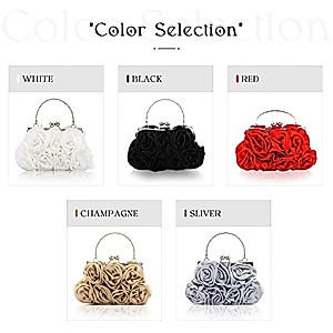 JAMBHALA Women Evening Clutch Bag Floral Satin Small Purses with Detachable Strap for Wedding, Party, Prom (Champagne)