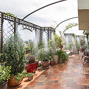 SL Power Misting Cooling System, 26FT (8M) Misting Line +11 Brass Mist Nozzles+ a Brass Adapter(3/4")，Mist Nozzles for Patio Garden Greenhouse（Front2.4M+After5.6M）