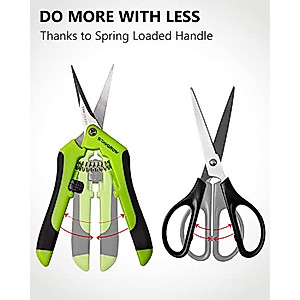 STAYGROW 2pcs 6.5" Pruning Shears for Gardening, Ultra Sharp Garden Scissors for Precise Cuts, Stainless Steel Bonsai Clippers with Spring Loaded, 6.5 Inch Garden Shears (1pc Straight & 1pc Curved)