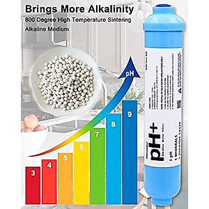 Ph+ Alkaline Water Filter Cartridge Improve Body Vitality Reverse Osmosis Filters Improves Taste Water Filter Replacement Mineralizes Water Filter Cartridge for Ro System