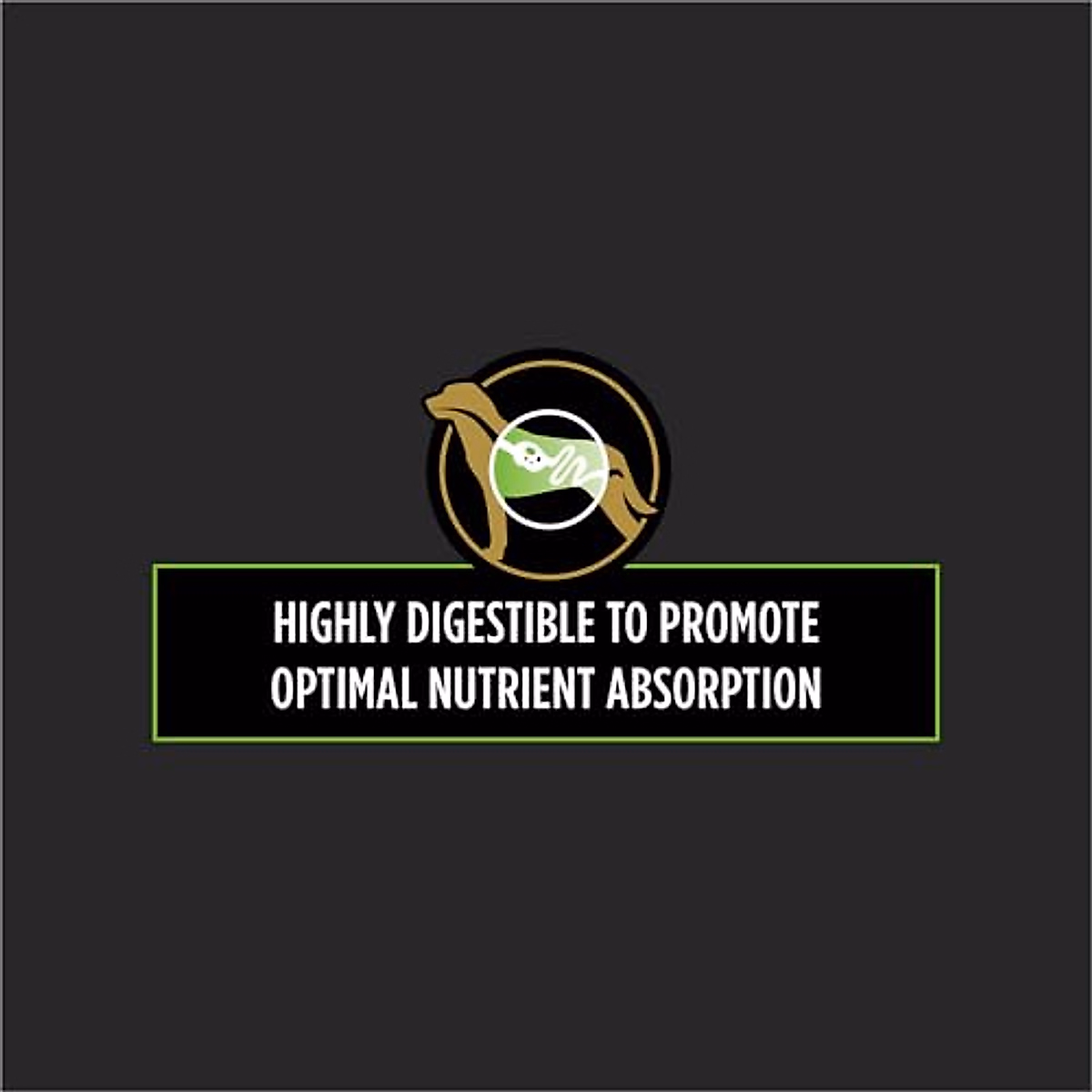 Purina Pro Plan Veterinary Diets HA Hydrolyzed Protein Dog Food Dry Chicken Flavor Formula - 16.5 lb. Bag