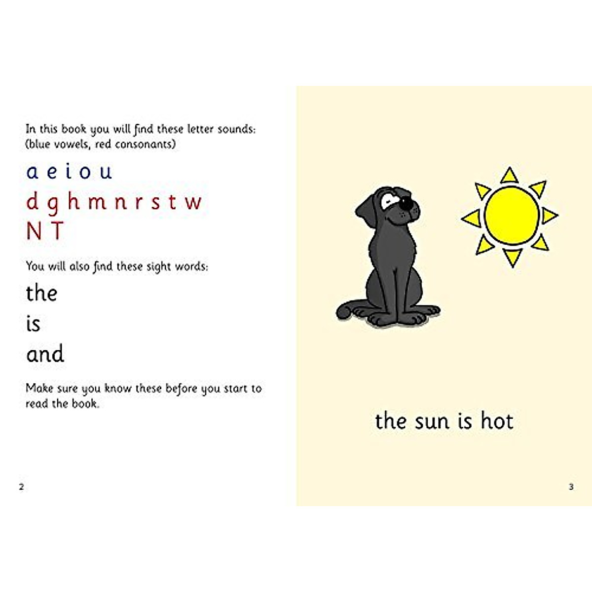 Pack of 5 Phonics Readers Set 1 _ Simple Phonics Books to allow a child to gain confidence at their own pace