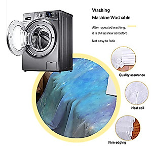 Gyapuk Heron Bird, Thickened Fleece Throw Blankets,Pattern with Heron Bird,Super Soft Flannel Cozy Blankets for Adults,Washable Lightweight Fuzzy for Sofa Bed Office,Gray Blue,30x40in