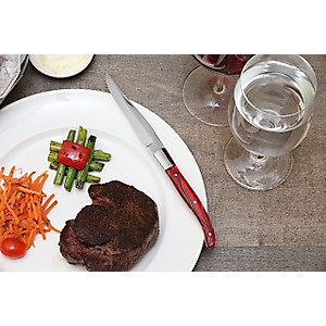 Fortessa Provencal Serrated Steak Knife, 9.25-Inch, Red Handle, Set of 6 -