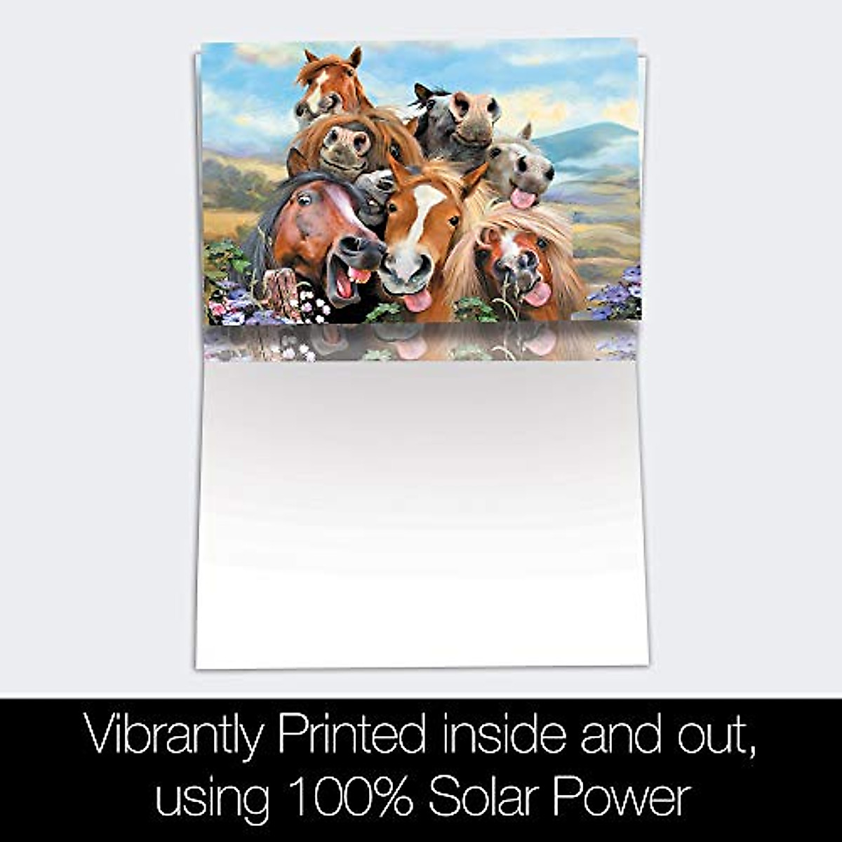 Tree-Free Greetings EcoNotes 12 Count Horses Selfie All Occasion Notecard Set with Envelopes, 4 x 6 Inches (FS56896)