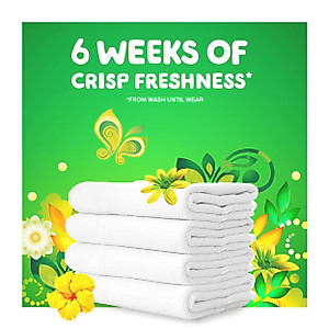 Gain + Aroma Boost Laundry Detergent Liquid Soap, Original, 32 Loads 46 Fl Oz