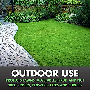 Spectracide Triazicide Insect Killer For Lawns & Landscapes Concentrate (Ready-To-Spray), Protects Lawns, Vegetables, Fruit & Nut Trees, Roses, Flowers, Trees & Shrubs, 32 fl Ounce